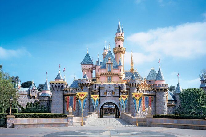 Private Transfer: Paris to Disneyland Park or Hotel by Luxury Van - An In-Depth Look at the Service