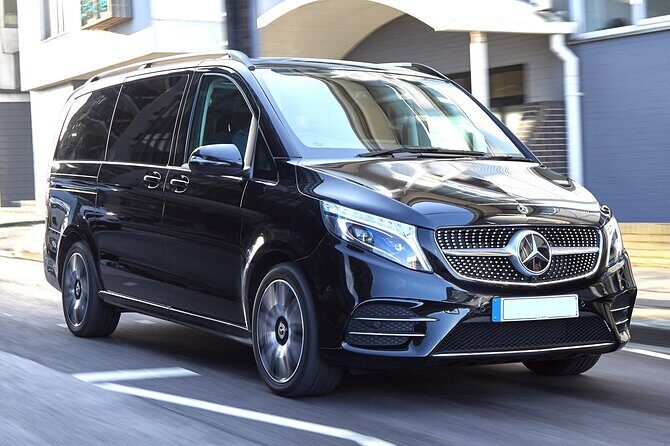Private Transfer: Paris to Disneyland Park or Hotel by Luxury Van - What You Can Expect on Your Day