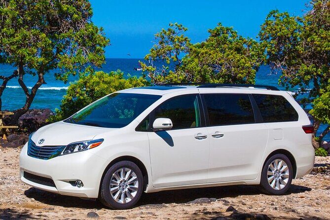 Private Transfer Punta Cana Airport to/from Excellence Punta Cana - A Closer Look at the Experience