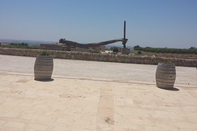 Private Transfer Round Trip Catania Airport Taormina Giardini Naxos Letojanni - Who Should Consider This Service?