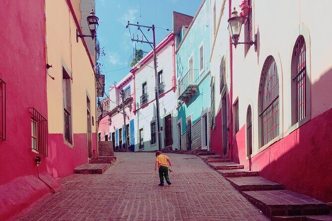 Private Transfer San Miguel de Allende-Guanajuato city, English Speaking Driver - Final Thoughts