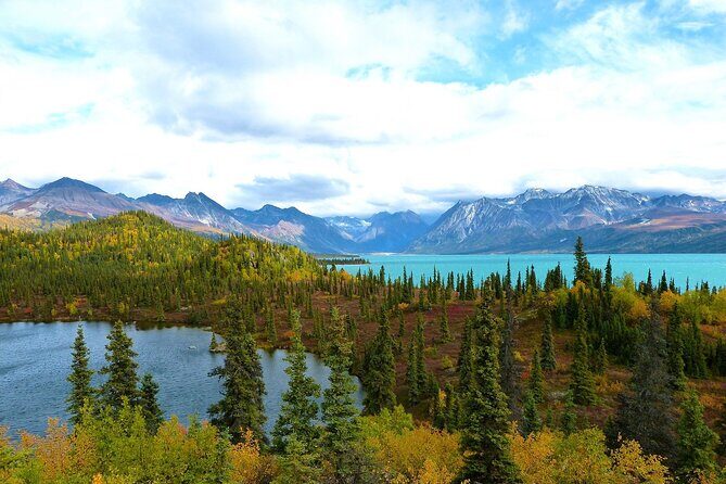 Private Transfer, Seward Cruise ship to Anchorage - FAQ: Your Questions Answered