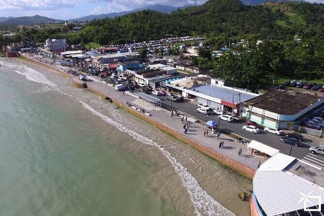 Private Transfer: SJU Airport or Port to Humacao and Nagüabo - Why Choose This Private Transfer Service?