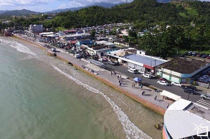 Private Transfer: SJU Airport or Port to Humacao and Nagüabo - The Vehicle & Comfort