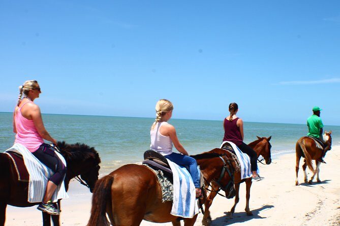Private Transfer to Beach Horse Back Ride and Swim - FAQ