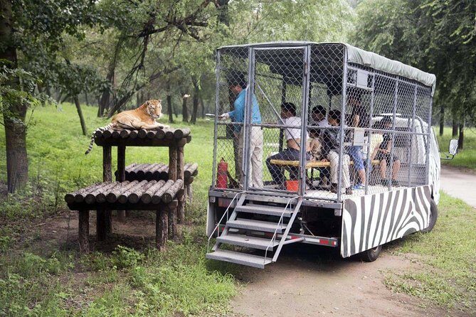 Private Transfer to Beijing Wildlife Park with Self-driving Ride Inside - Exploring the Beijing Wildlife Park Experience: An Honest Review