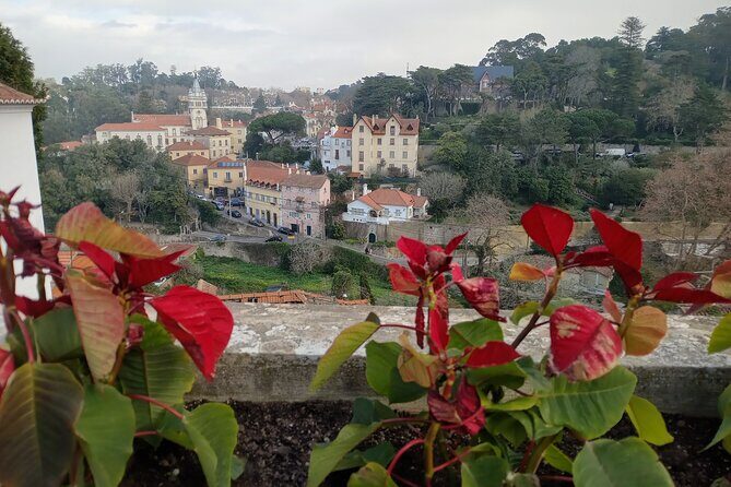 Private Transfer to Cascais or Sintra - The Experience: What You Can Expect