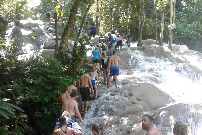 Private Transfer to Dunns River Blue Hole Tubing from Montego Bay - What to Expect from the Experience