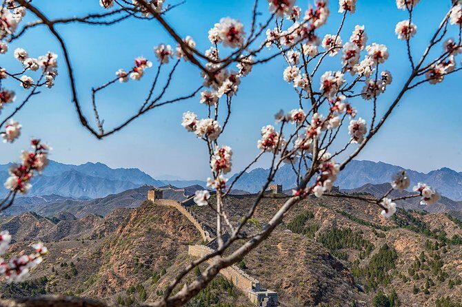 Private Transfer to Jinshanling Great Wall with Experienced Driver - Key Points