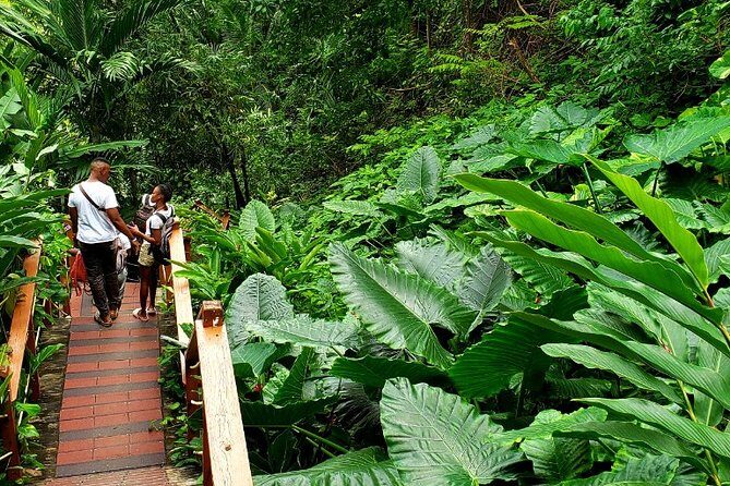 Private Transfer to Konoko Falls Botanical Gardens - Key Points