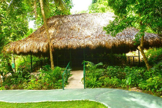 Private Transfer to Konoko Falls Botanical Gardens - Final Thoughts