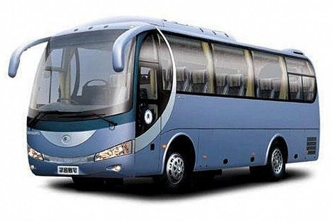 Private Transfer to Nanjing Railway Station from Lukou Airport - Vehicle options and flexibility