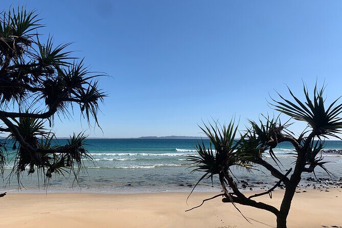 Private Transfer to or from Sunshine Coast Airport (MCY) - Key Points