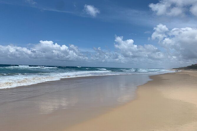 Private Transfer to or from Sunshine Coast Airport (MCY) - The Breakdown: What Youll Really Get