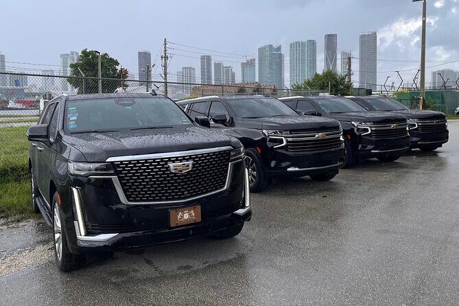Private Transfer to Port Everglades and Fort Lauderdale Airport - Potential Drawbacks or Considerations