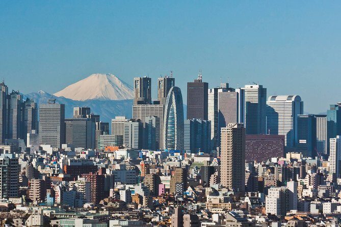 Private Transfer: Tokyo to Haneda Airport HND in Sedan Car - The Booking & Operating Details