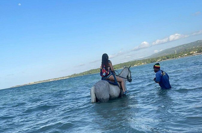 Private Transfer/Tours to/from Montego Bay - FAQ