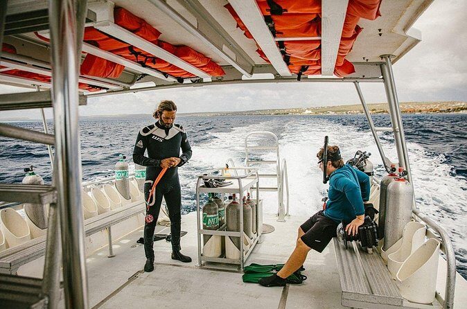 Private Transfers between Bonaire airport and any local address - Frequently Asked Questions