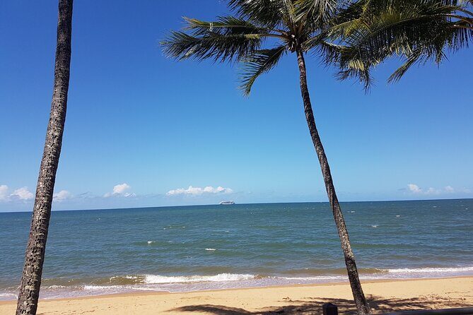 Private Transfers - Cairns Airport to Cairns City - Who This Service Is Best For