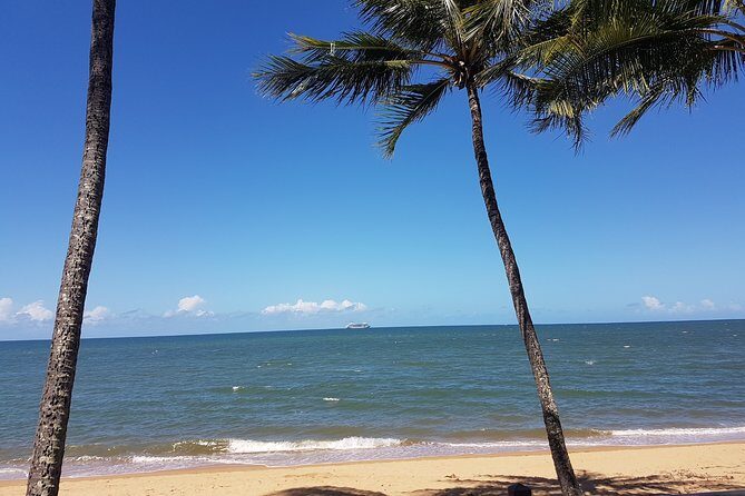 Private Transfers - Cairns Airport to Palm Cove - Final Thoughts