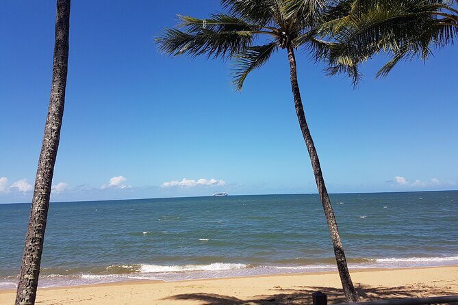 Private Transfers Cairns Airport to Port Douglas - FAQs