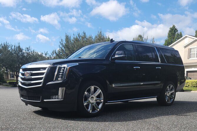 Private Transfers from Disney Resort Area to Port Canaveral - Detailed Breakdown of the Experience