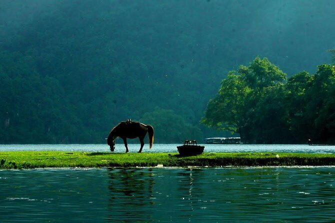 Private transfers from HALONG to SAPA or from SAPA to HALONG - The Practicalities: Booking and Support