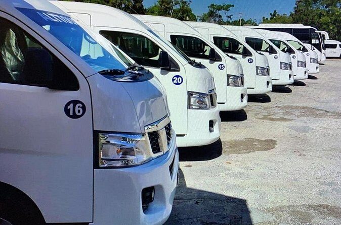 Private Transfers in PUNTA CANA AIRPORT - Who Will Love This Service?