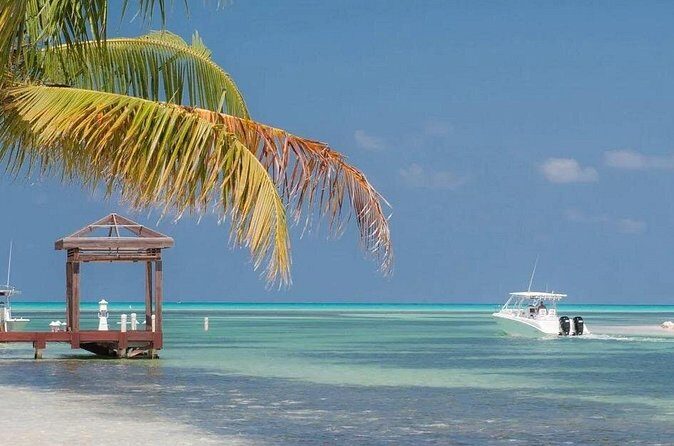 Private Transport From Airport & Private Air to Eastern District - The Experience Itself: What You Can Expect