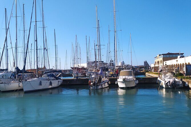 Private Transport from Civitavecchia Port to Rome or vice versa - Final Thoughts
