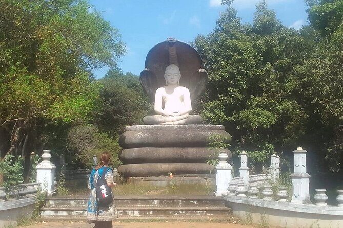 Private Transport from Sigiriya to Polonnaruwa - Who Will Benefit Most?