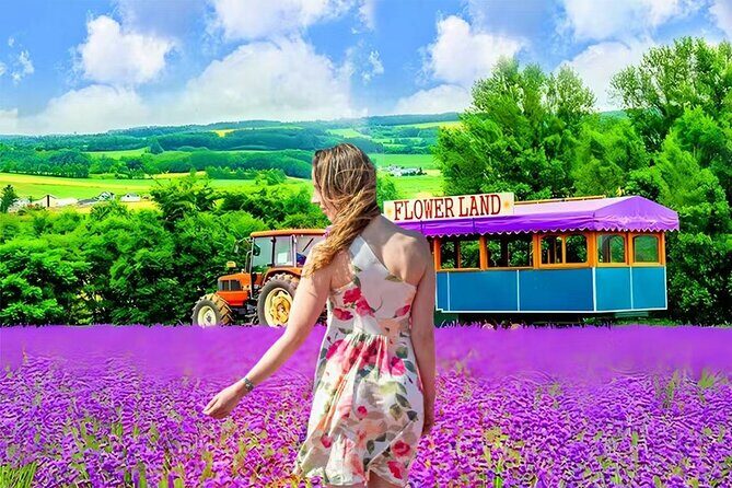 Private Transport in Hokkaido with English Speaking Driver - What Makes This Tour Worth Considering?