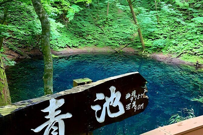 Private Transport in Hokkaido with English Speaking Driver - Pricing and Value for Money