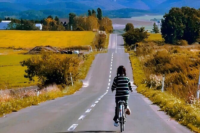 Private Transport in Hokkaido with English Speaking Driver - Who Should Book This Tour?