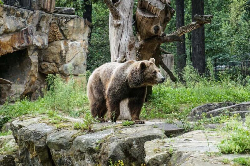 Private Transport to Berlin Zoo with Skip-the-line Ticket - The Animals and Exhibits: What to Expect