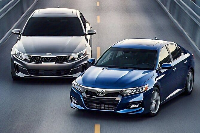 Private Transport Valle Guadalupe Worry Free 10H - What Travelers Might Love