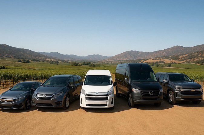 Private Transport Valle Guadalupe Worry Free 10H - Who Should Consider This Tour?