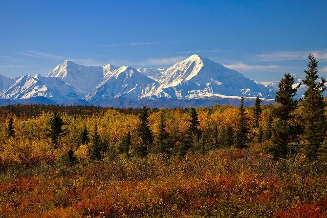Private Transportation Between Fairbanks and Denali National Park - What to Expect from the Service