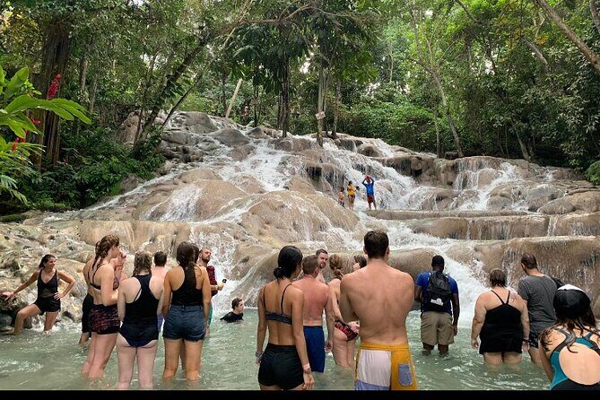Private Transportation from Montego Bay to Mystic Mountain and Dunn's River Fall - Discovering the Best of Jamaica’s Natural Wonders: A Detailed Review of the Private Transport to Mystic Mountain and Dunn’s River Falls