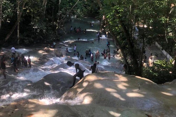 Private Transportation from Montego Bay to Mystic Mountain and Dunn's River Fall - Key Points