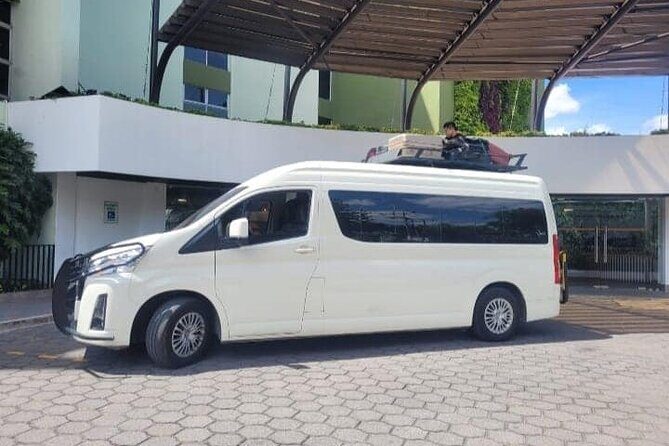 Private Transportation from Punta Cana Airport to Bávaro Hotels - Who Is This Transfer Best For?