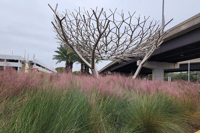 Private Transportation Hobby Airport (HOU) Departure Drop off - The Trip Breakdown and Experience