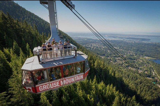 Private Transportation to Capilano Suspension Bridge Park - Who Should Consider This Tour?