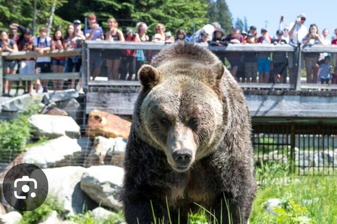 Private Transportation to Capilano Suspension Bridge Park - FAQ