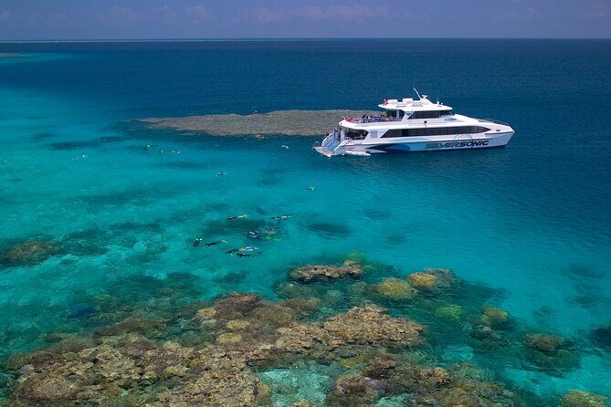 Private Transportation Travel from Australia - Why Choose This Private Transport in Port Douglas?