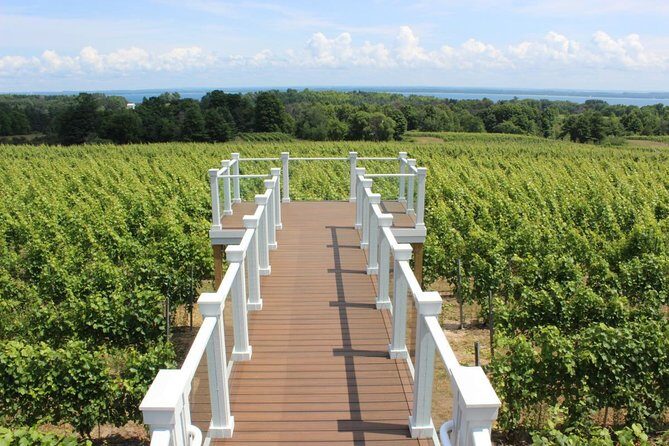Private Traverse City Winery or Brewery Tour - The Sum Up: Who Will Love This Tour?