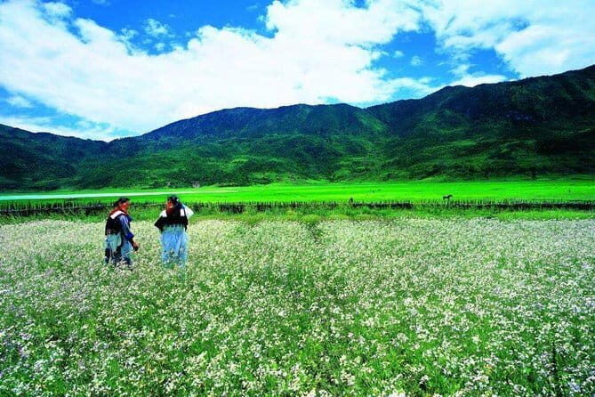 Private trekking tour to Wenhai lake from Lijiang half day service - Key Points