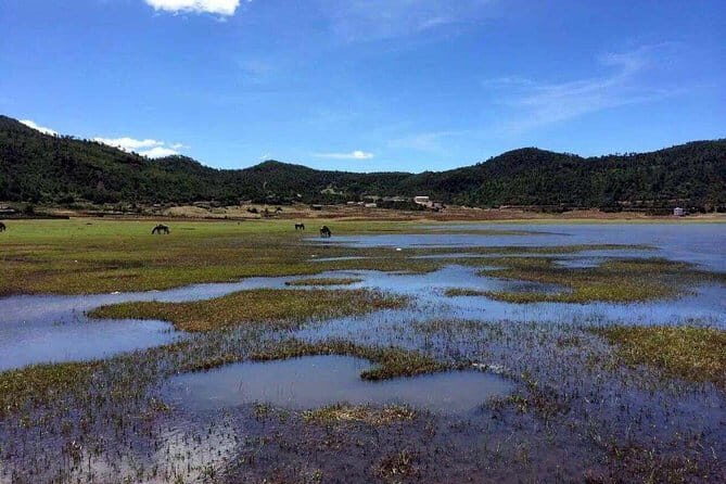 Private trekking tour to Wenhai lake from Lijiang half day service - The Itinerary in Detail: What to Expect