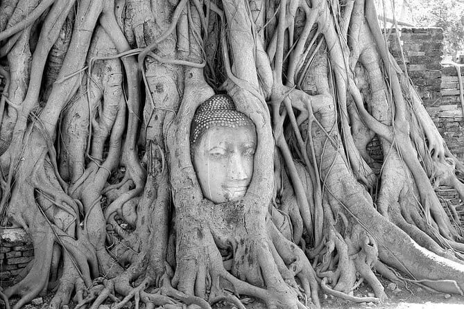 Private Trip : Ayutthaya historical venture, boat ride & lunch - Authentic Experiences Highlighted by Past Travelers