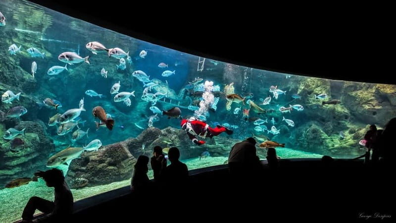 Private Trip From Rethymno to Dinosauria Park & Cretaquarium - Key Points